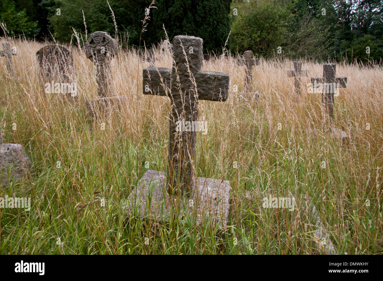 Overgrown cemetery hi-res stock photography and images - Alamy