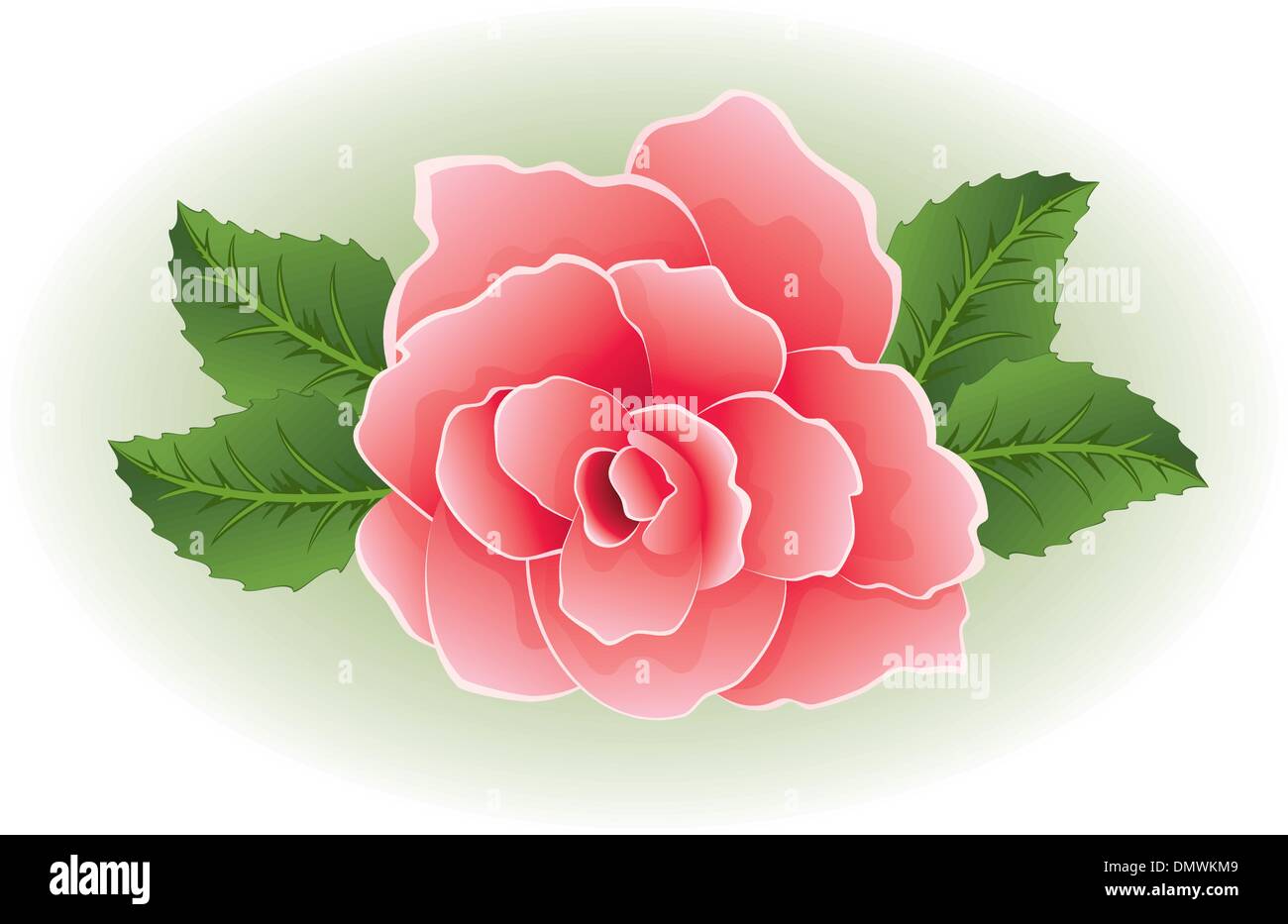 Elegant white rose Stock Vector Images - Alamy