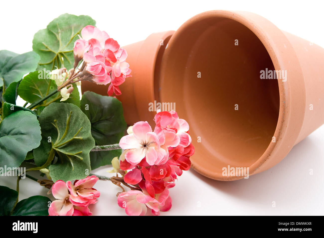 Geranium Flower Pot High Resolution Stock Photography and Images - Alamy