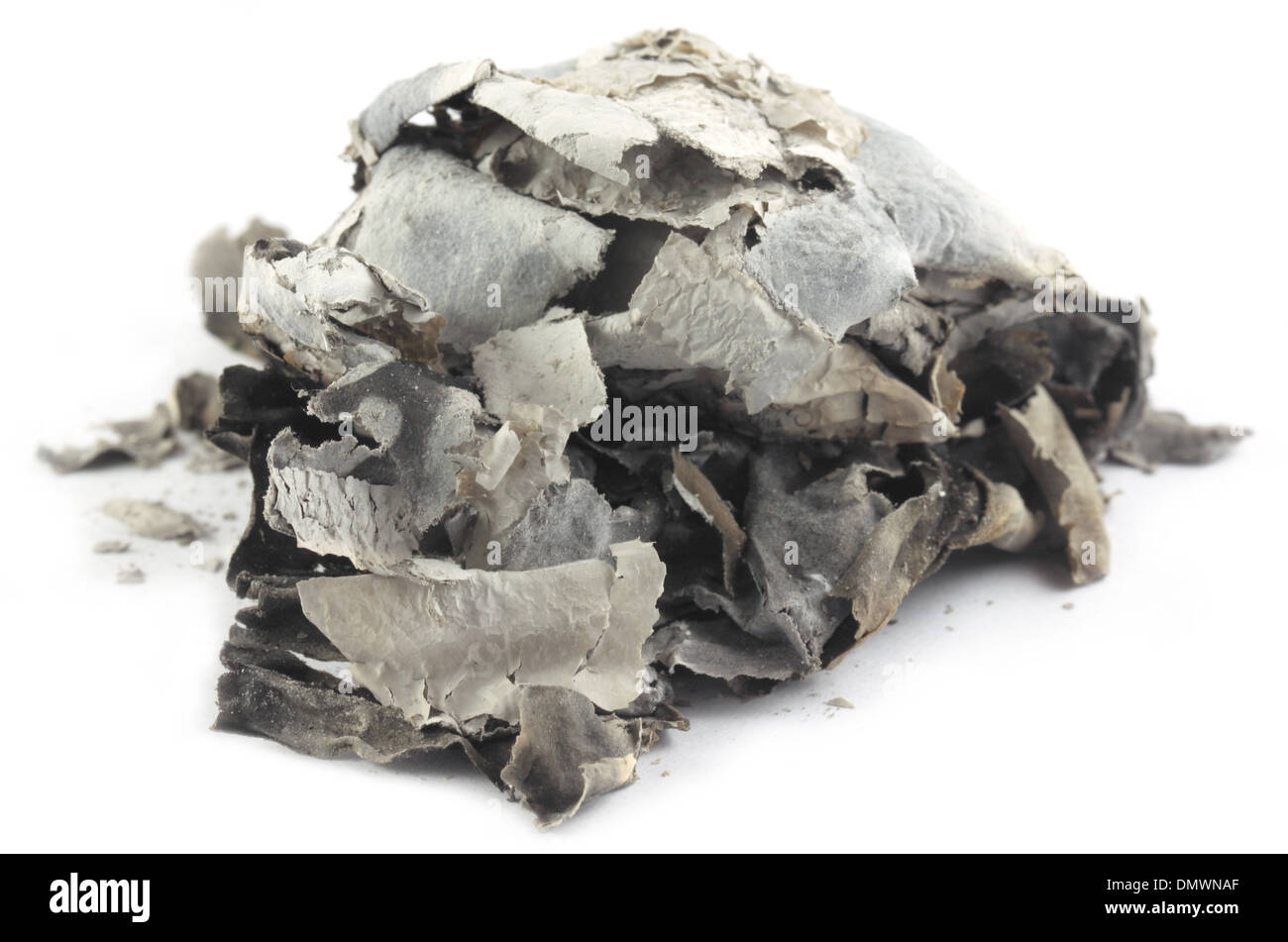 Ash concept hi-res stock photography and images - Alamy