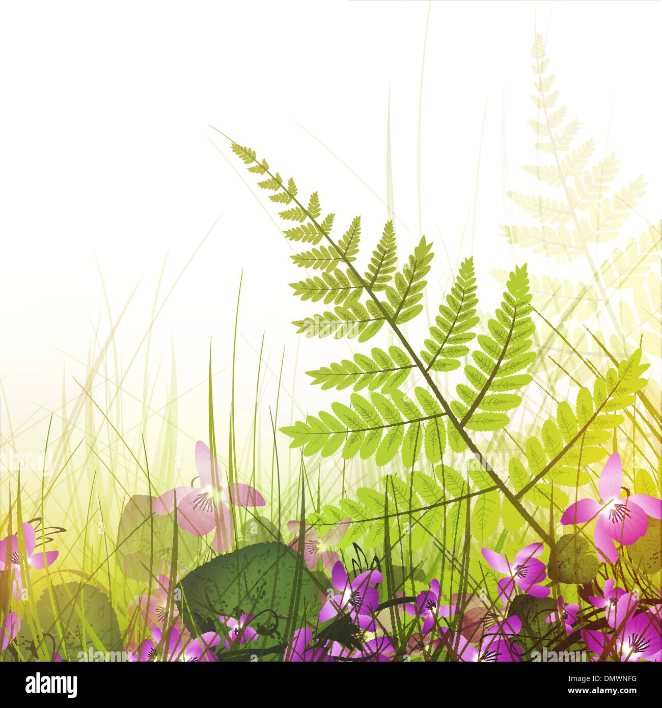 Meadow fern Stock Vector Images - Alamy