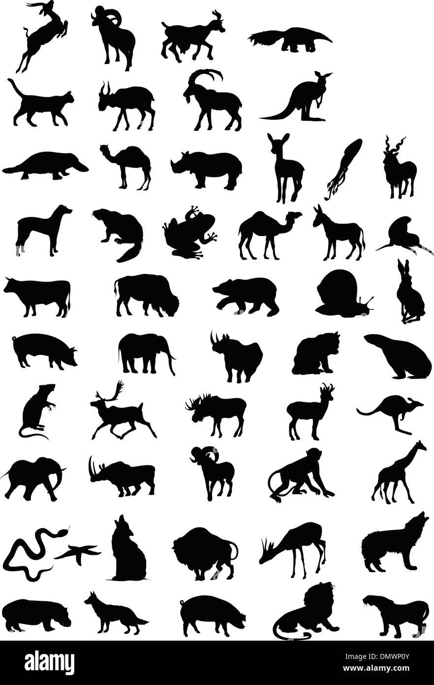 Wolf lamb Stock Vector Images - Alamy