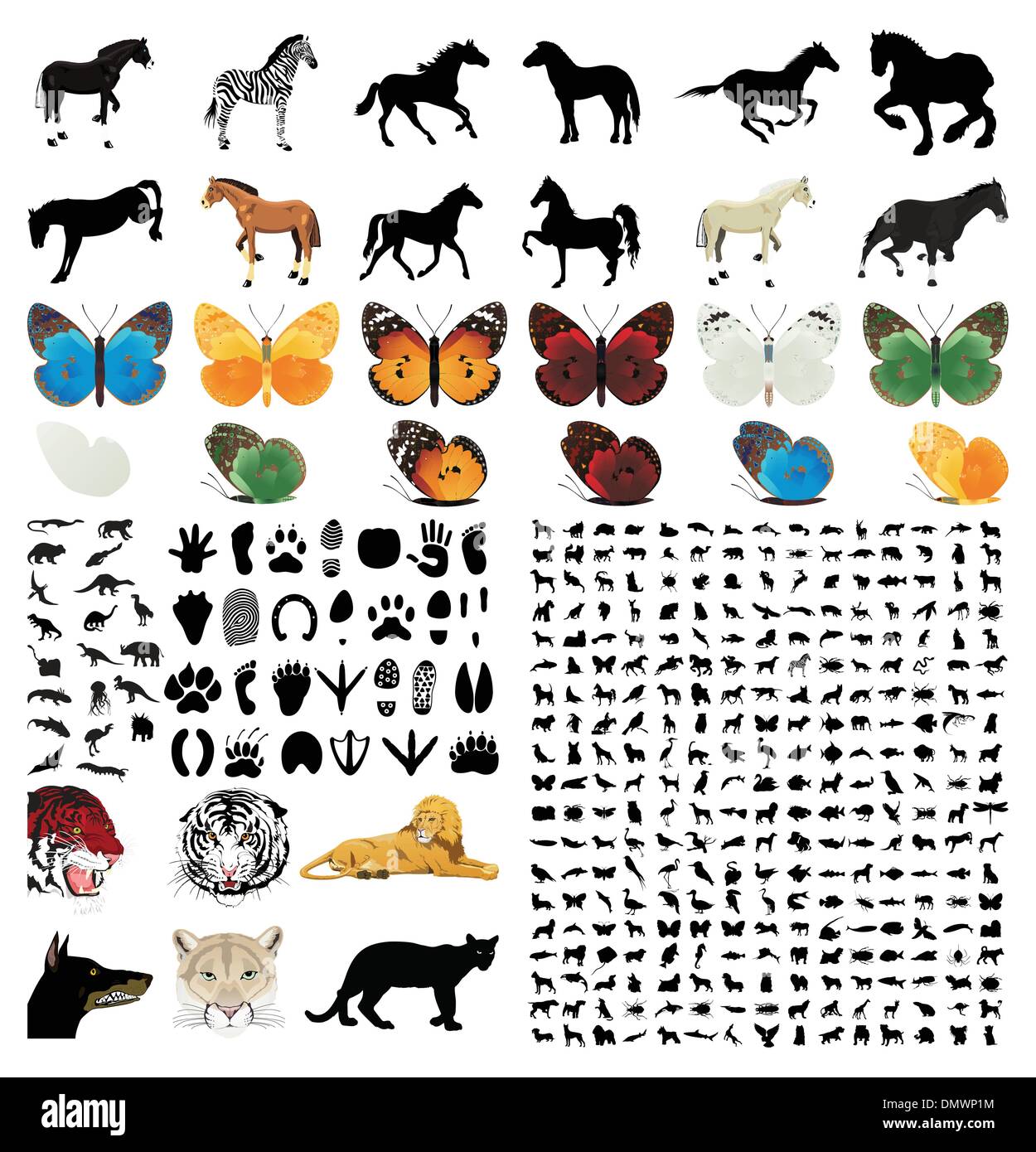 Collection of animals Stock Vector Image & Art - Alamy