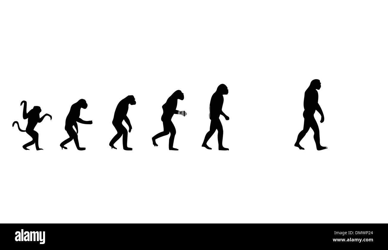 Evolution Black and White Stock Photos & Images - Alamy