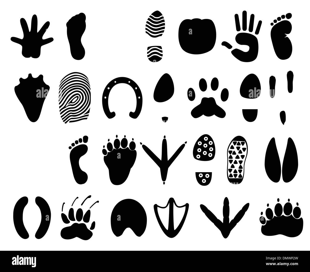 Trace Horse Hi res Stock Photography And Images Alamy trace-horse-hi-res-stock-photography-and-images-alamy