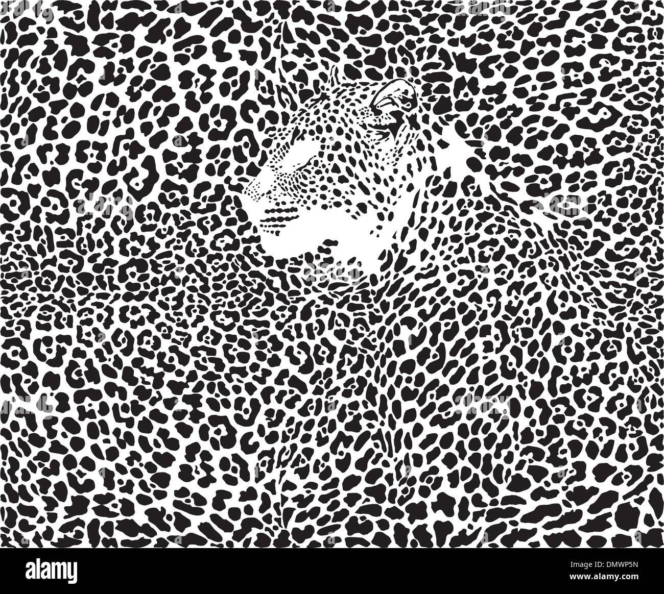 Leopard vectors hi-res stock photography and images - Alamy