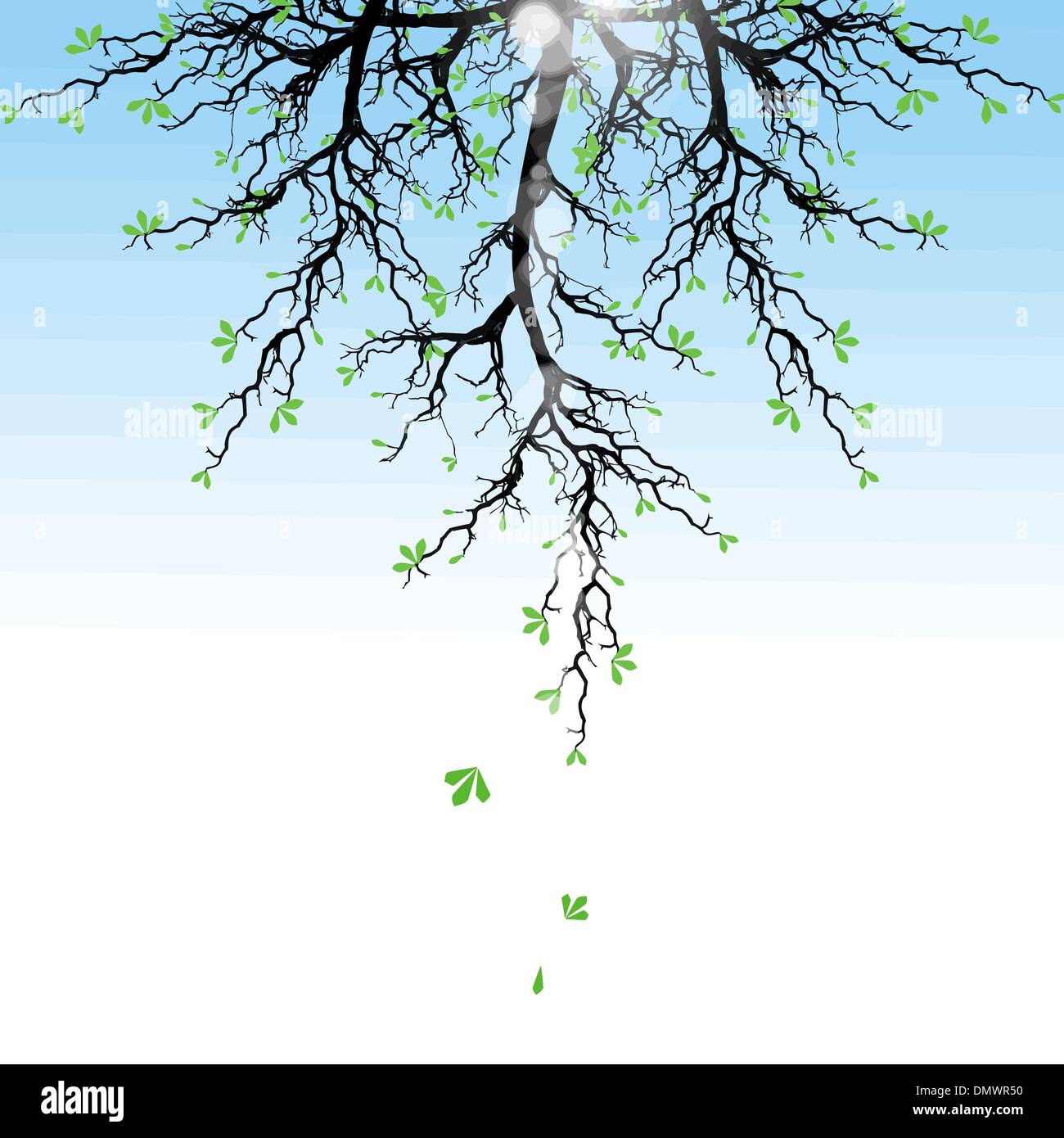 Tree bark tree bark texture background sunshine plant Stock Vector ...