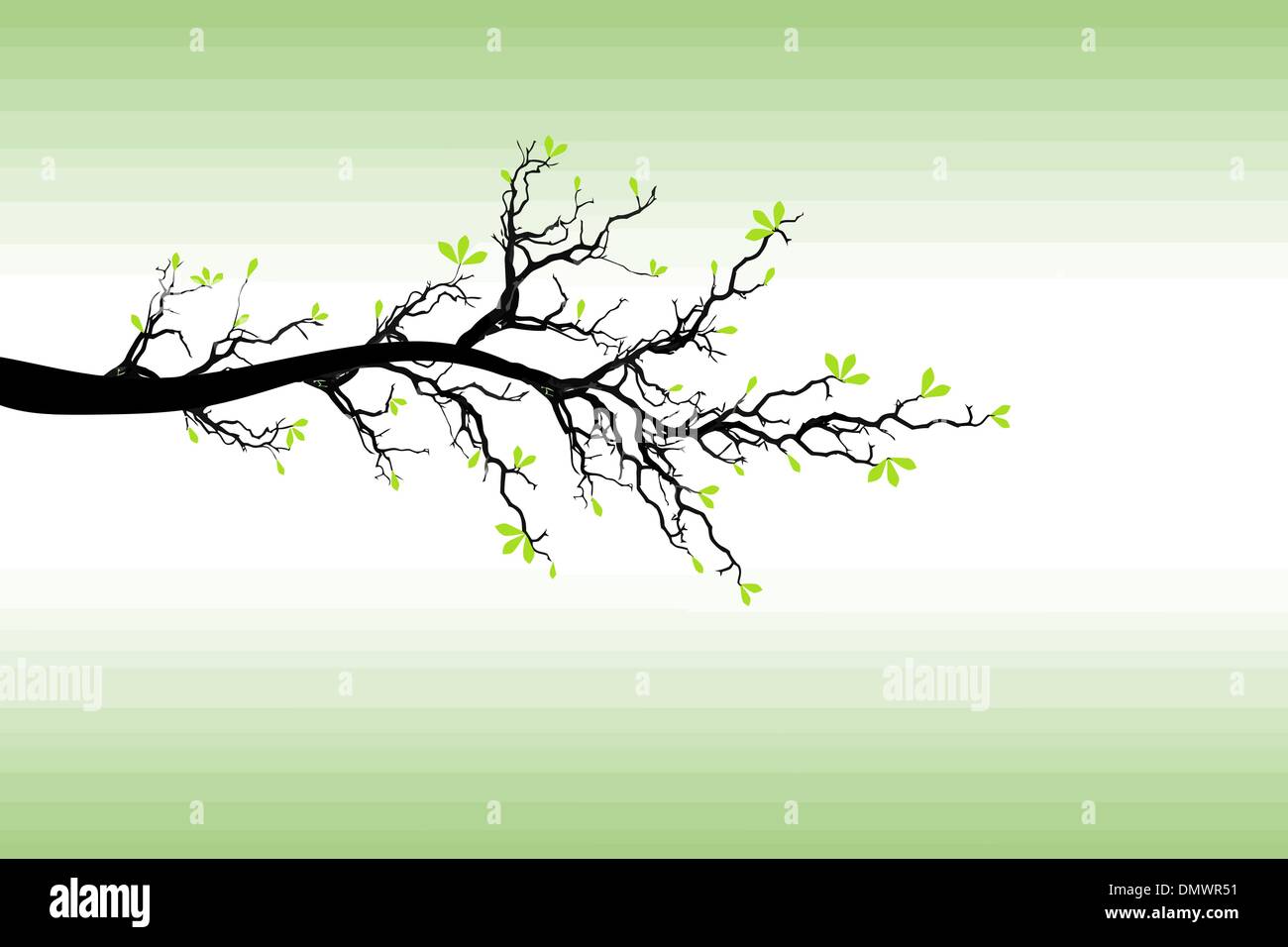 Branch of spring Stock Vector Images - Alamy