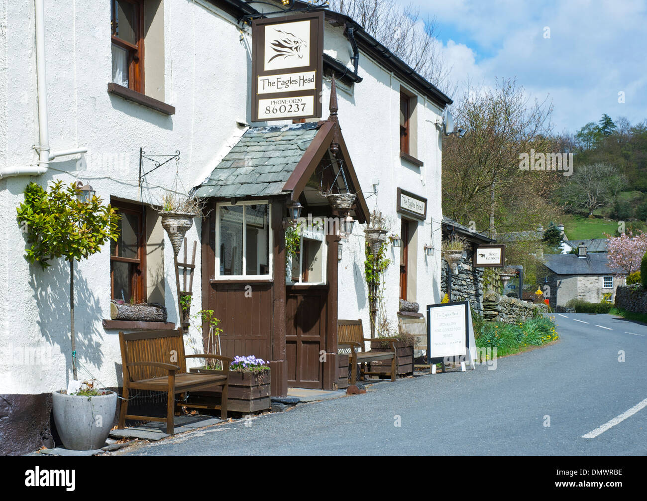Eagles head hi-res stock photography and images - Alamy