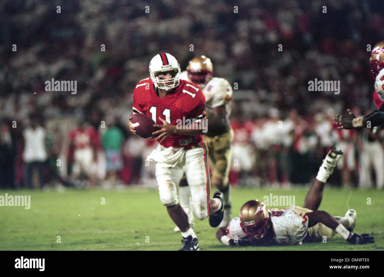 Rivenbark hi-res stock photography and images - Alamy