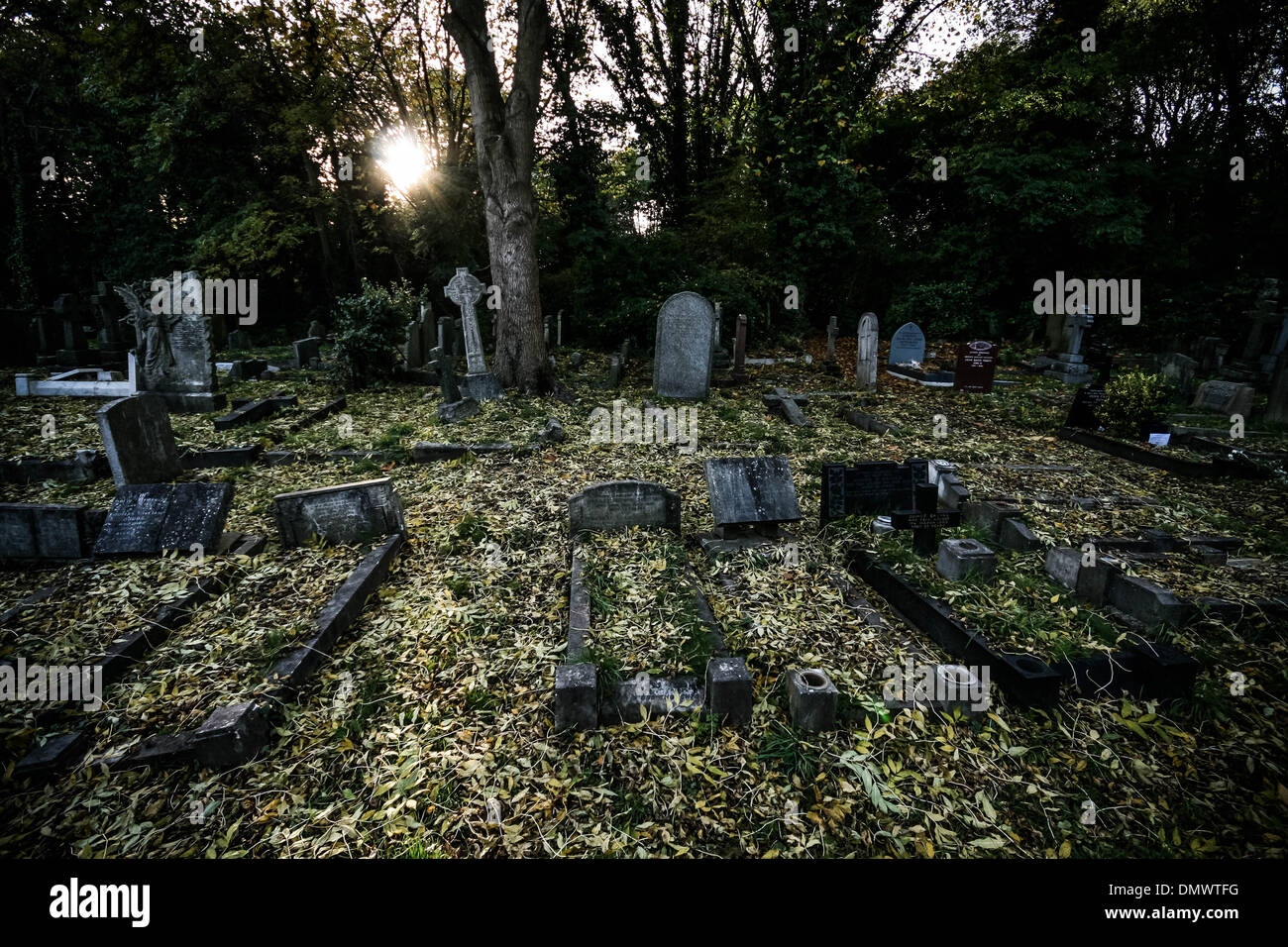 Highgate Cemetery (east) in north London, UK Stock Photo - Alamy