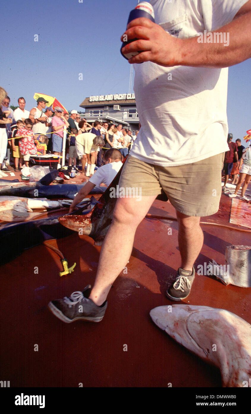 Jun 17, 1998 - Montauk Point,, New York, USA - Bloody toothed shark ...