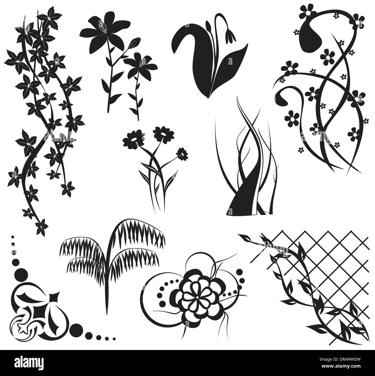 vector design elements with flora Stock Vector Image & Art - Alamy