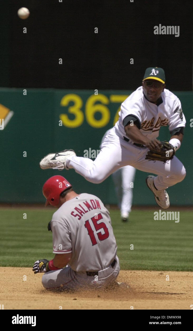 Tim salmon 2002 hi-res stock photography and images - Alamy