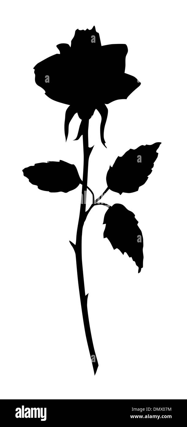 Blossom garden february Stock Vector Images - Alamy