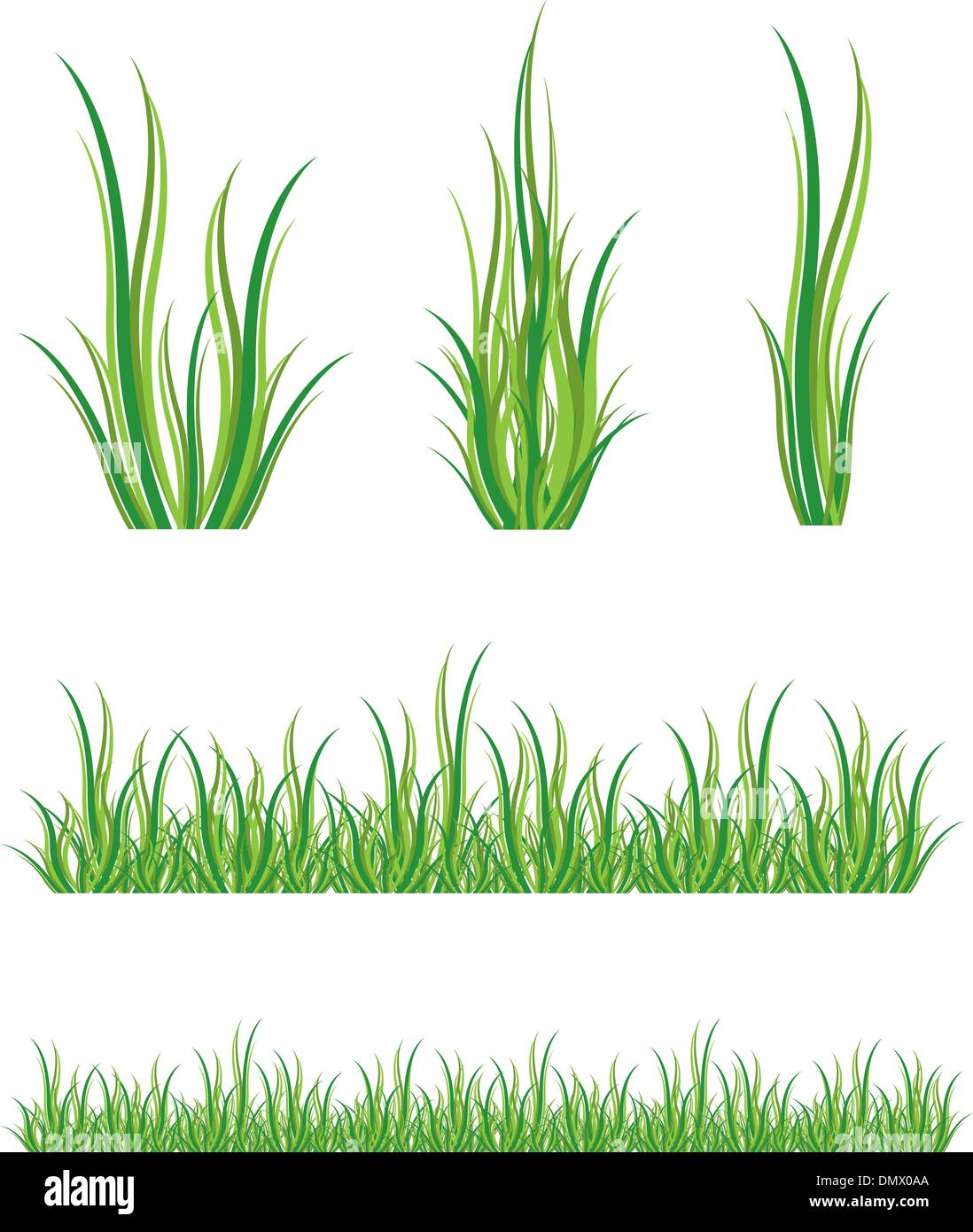 Grass green leaves Stock Vector Images - Alamy