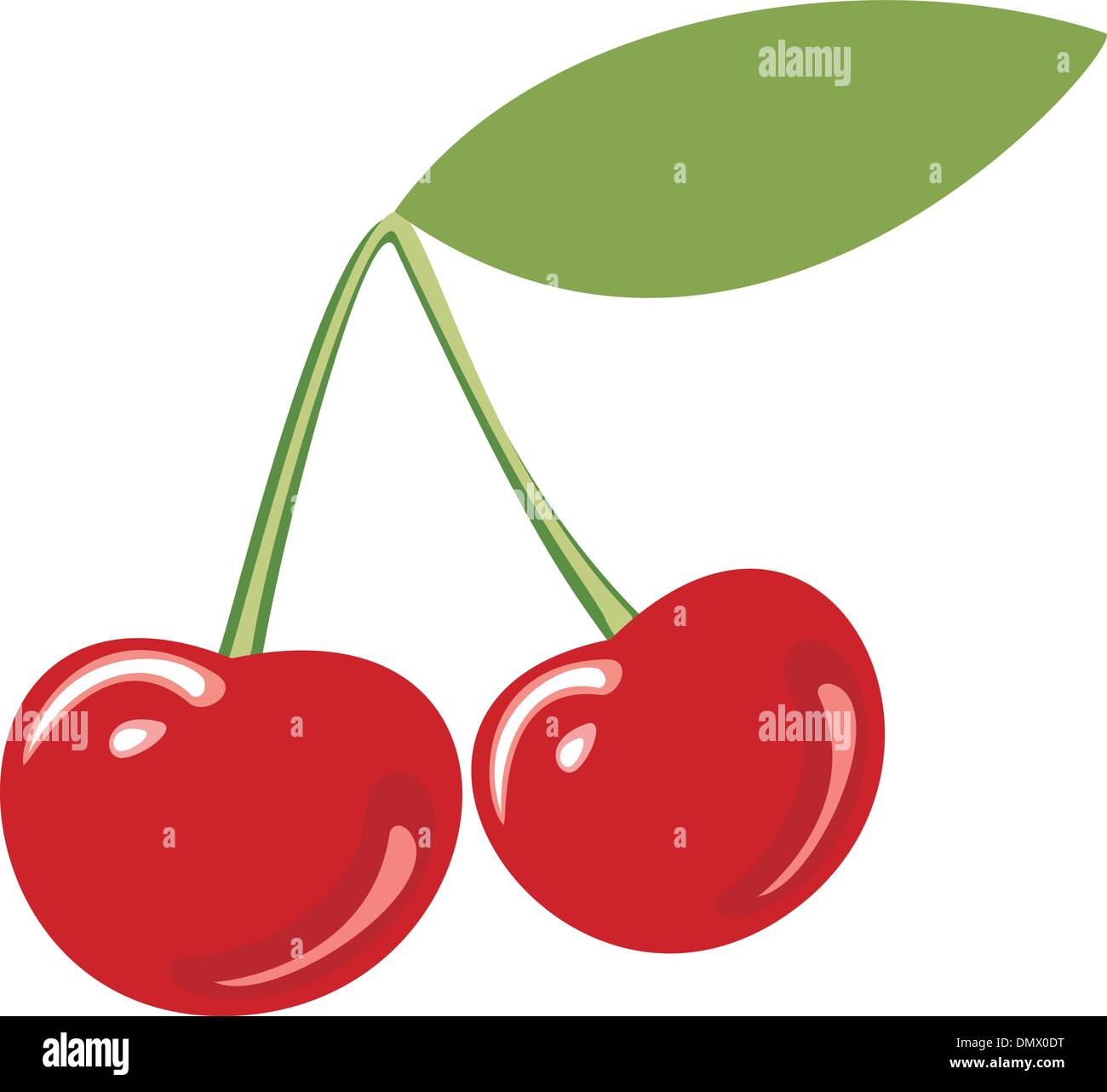 cherry isolated vector illustration Stock Vector Image & Art - Alamy