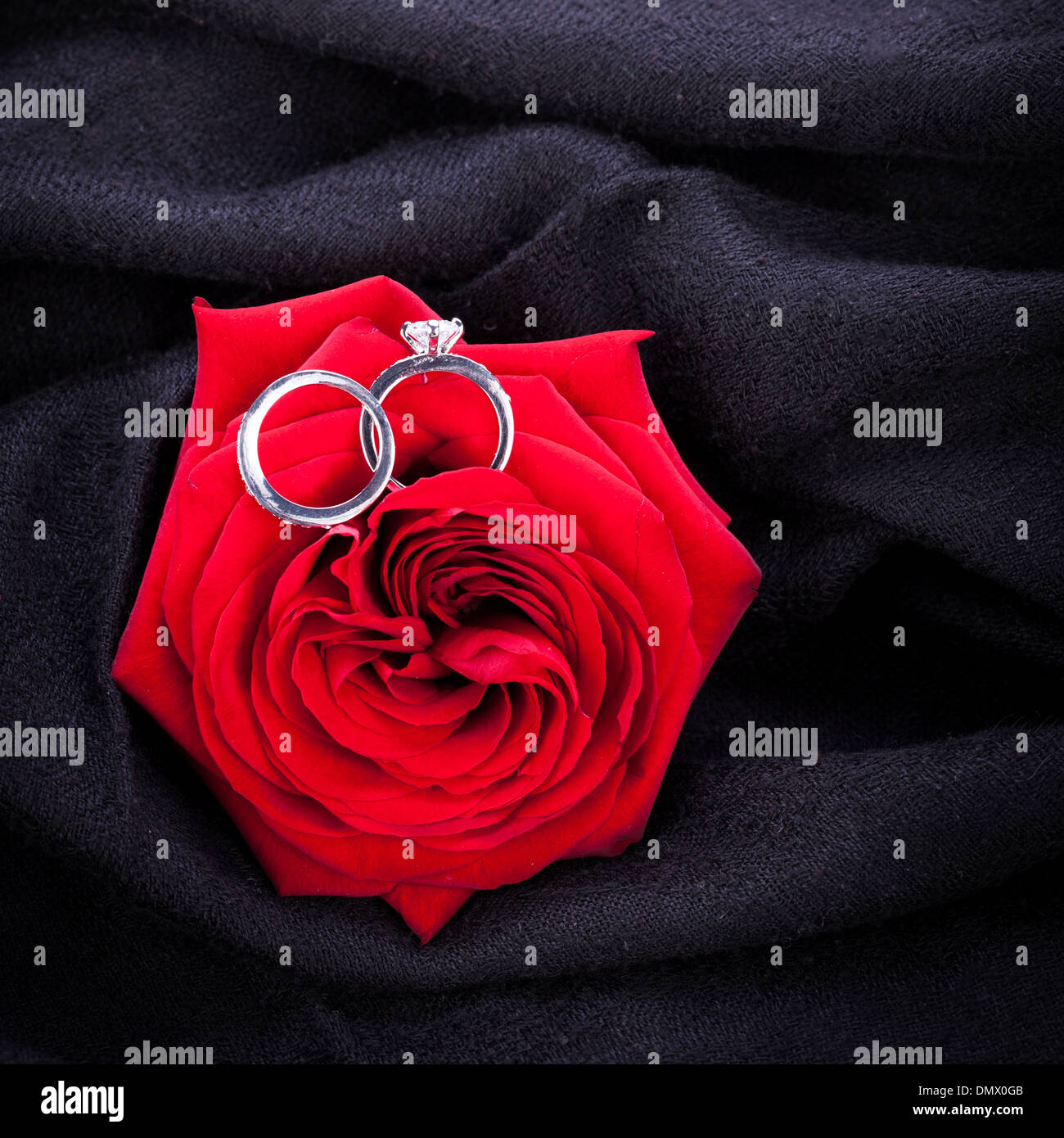 Overhead view of a diamond engagement ring nestling in the heart of a ...