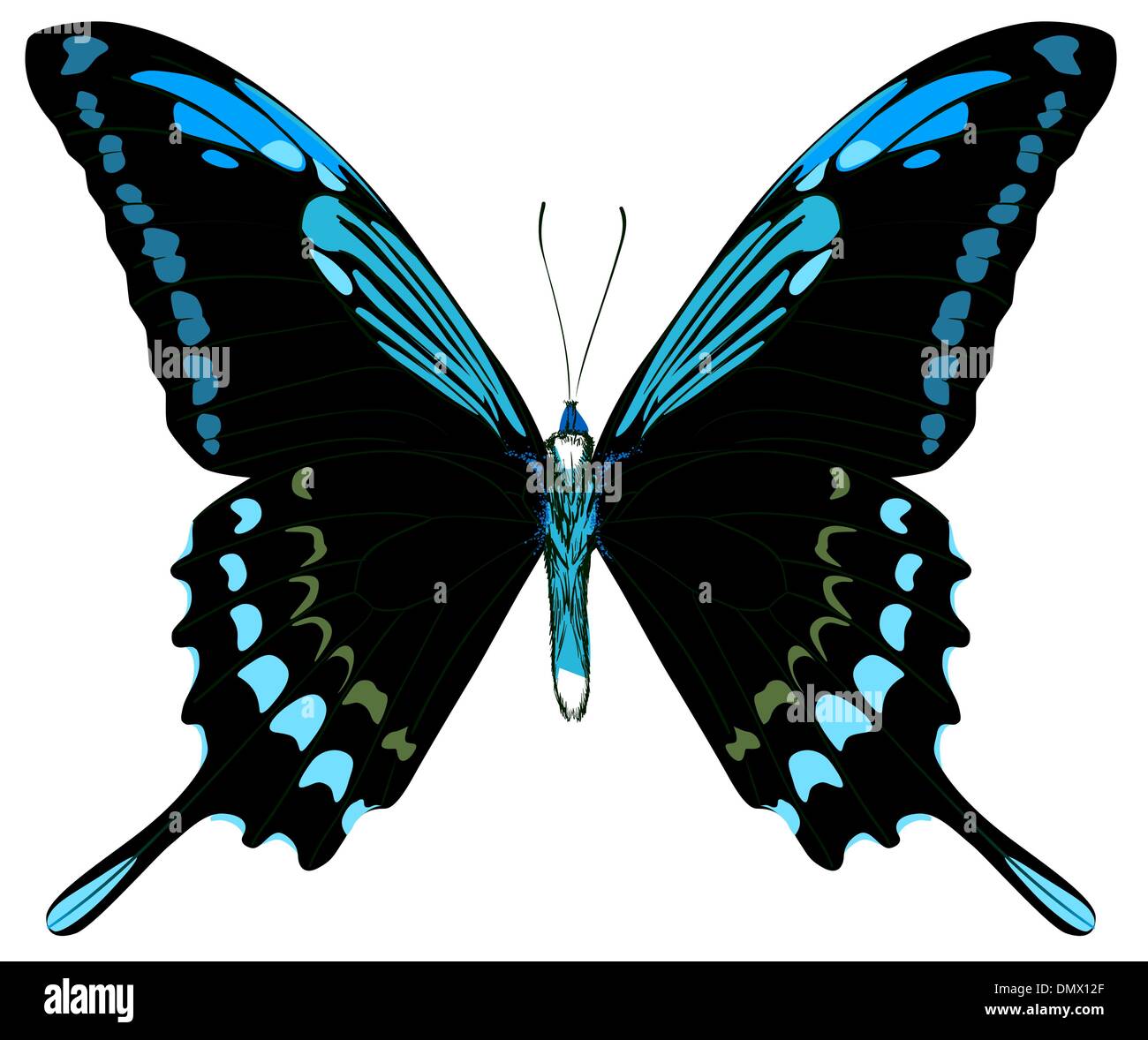 Butterfly pattern vector vectors Cut Out Stock Images & Pictures - Alamy