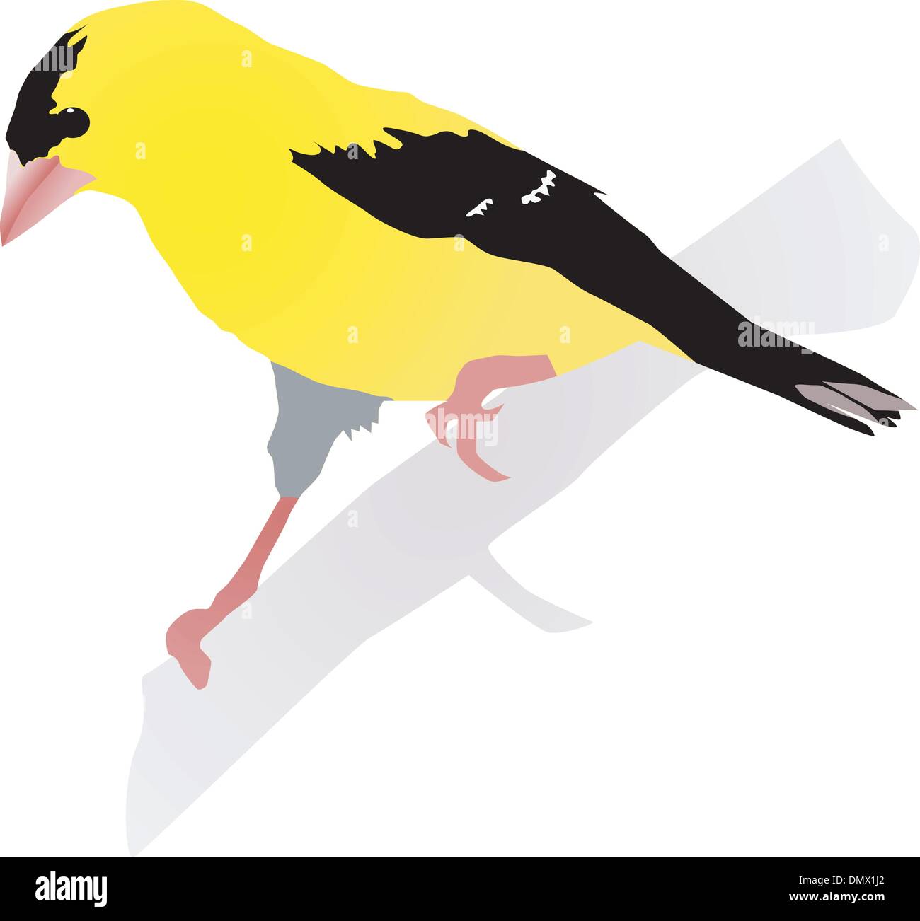Beautiful yellow bird. Vector Stock Vector Image & Art - Alamy