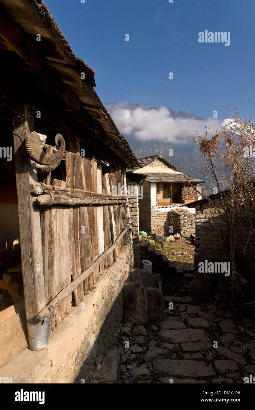 Ulleri Village (2080 metres), Annapurna Himal, Himalaya, Nepal Stock ...
