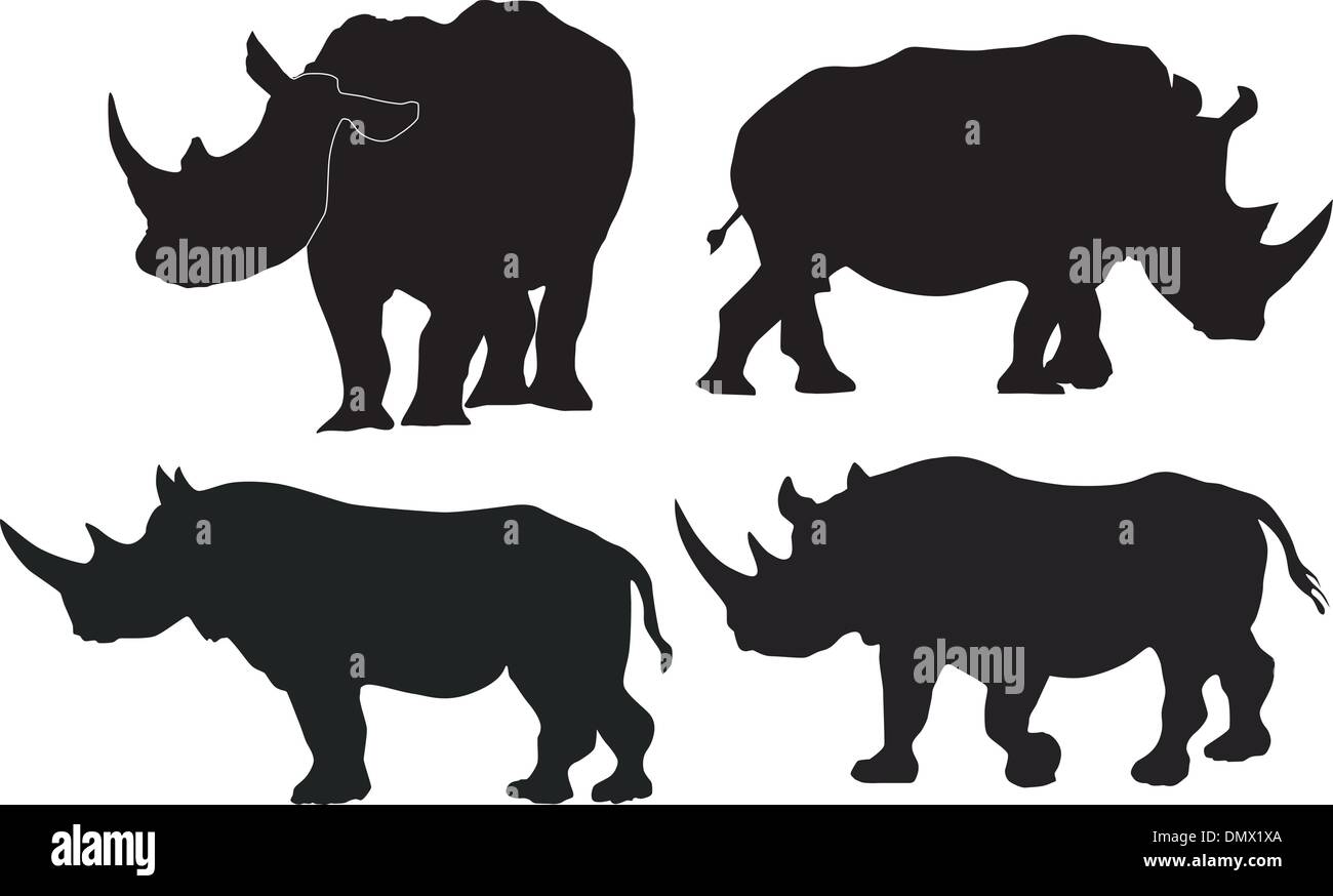 Collection of vector images of rhino Stock Vector Image & Art - Alamy