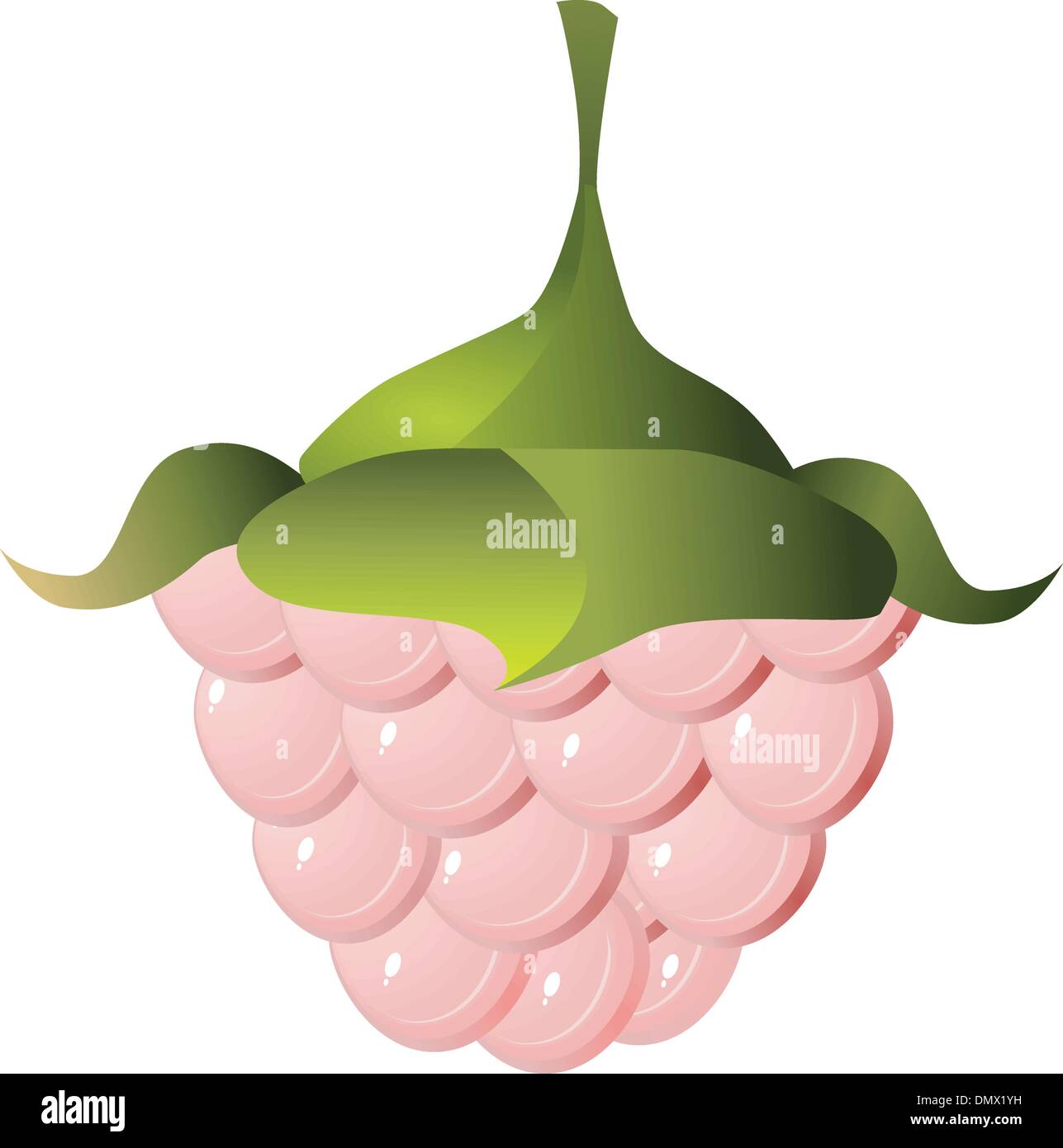 Vector image of raspberries Stock Vector Image & Art - Alamy