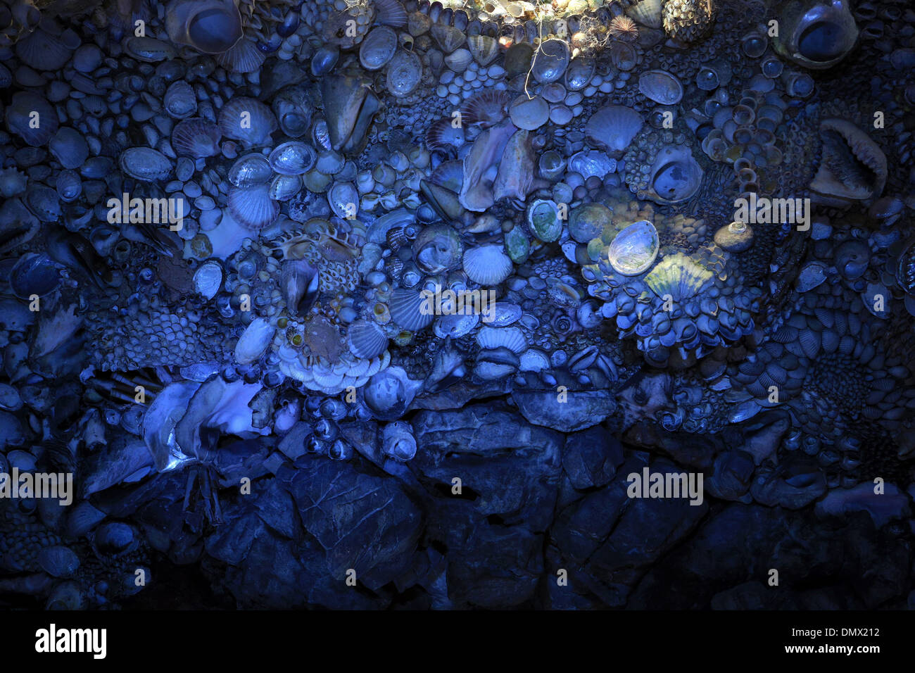 The grotto hall hi-res stock photography and images - Alamy