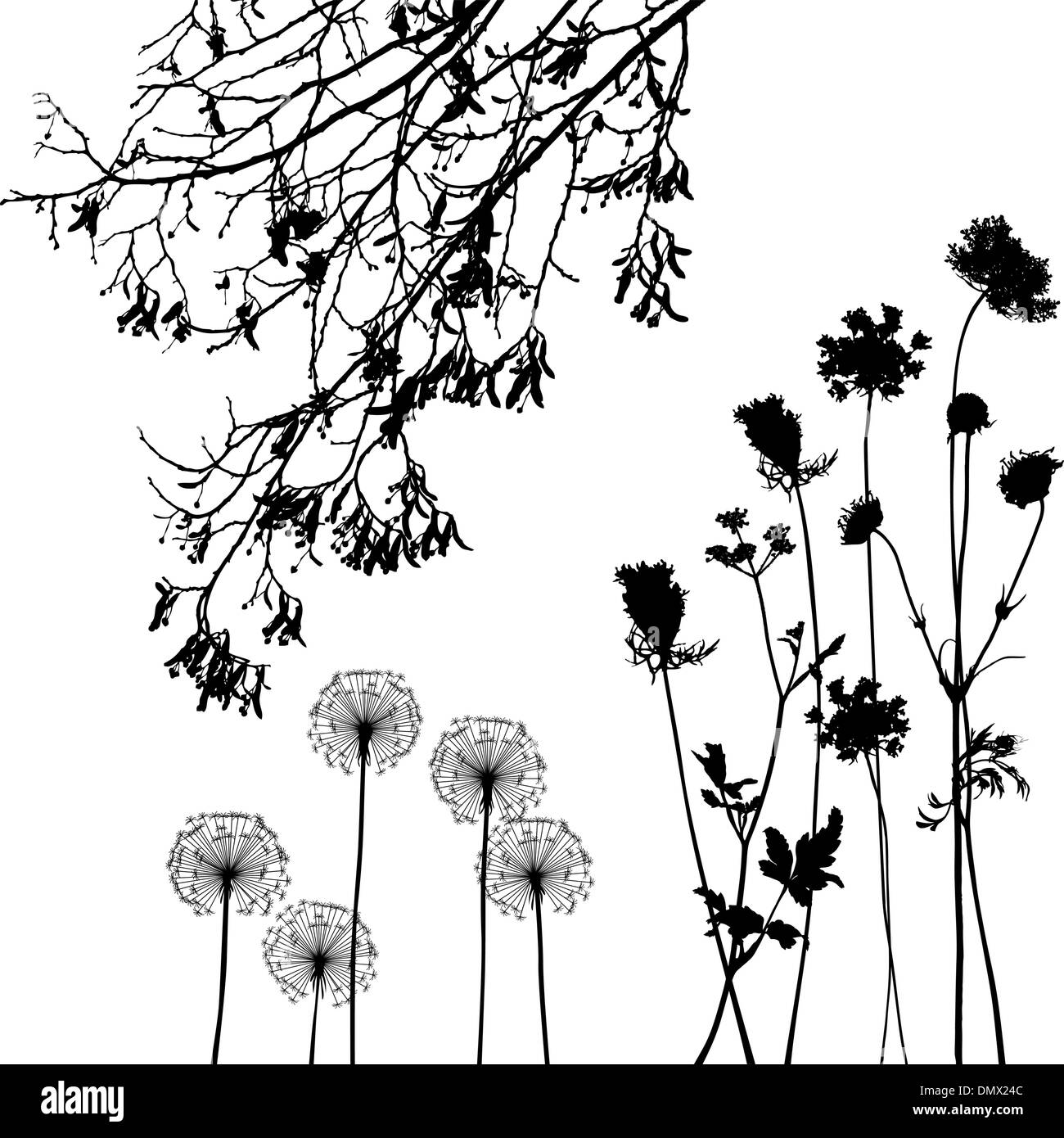 collection, for designers, plant vector Stock Vector Image & Art - Alamy