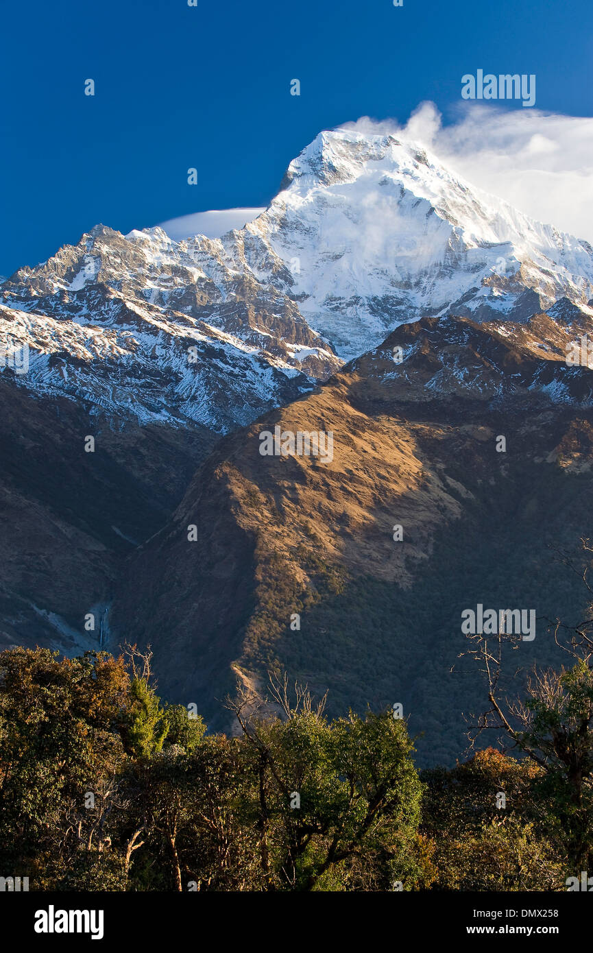 Hiunchuli hi-res stock photography and images - Alamy