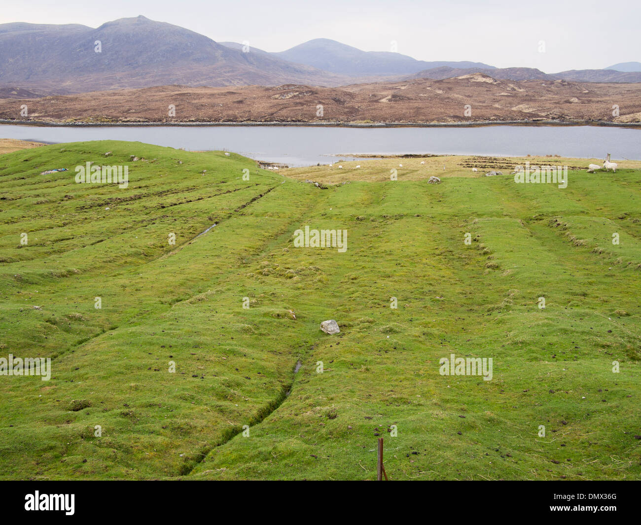 Loch Erisort, Isle of Lewis, Scotland Stock Photo - Alamy