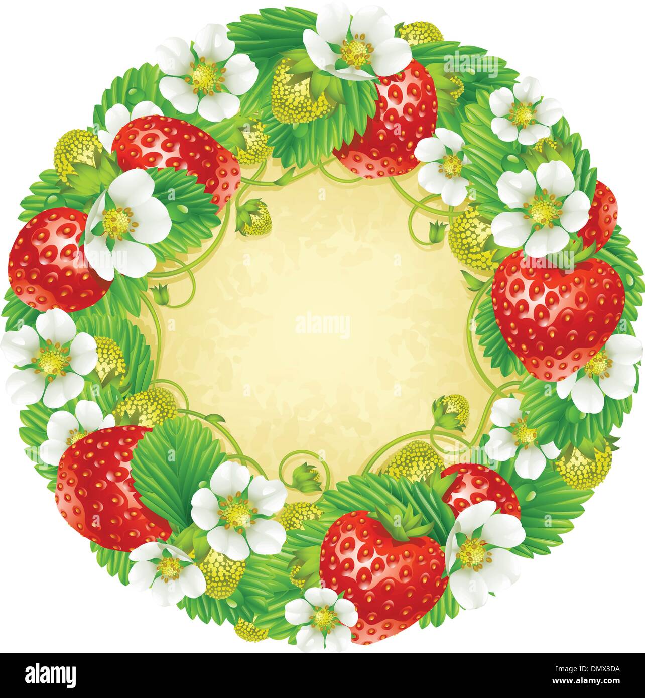 strawberry circle frame. Red berry and white flower Stock Vector Image ...
