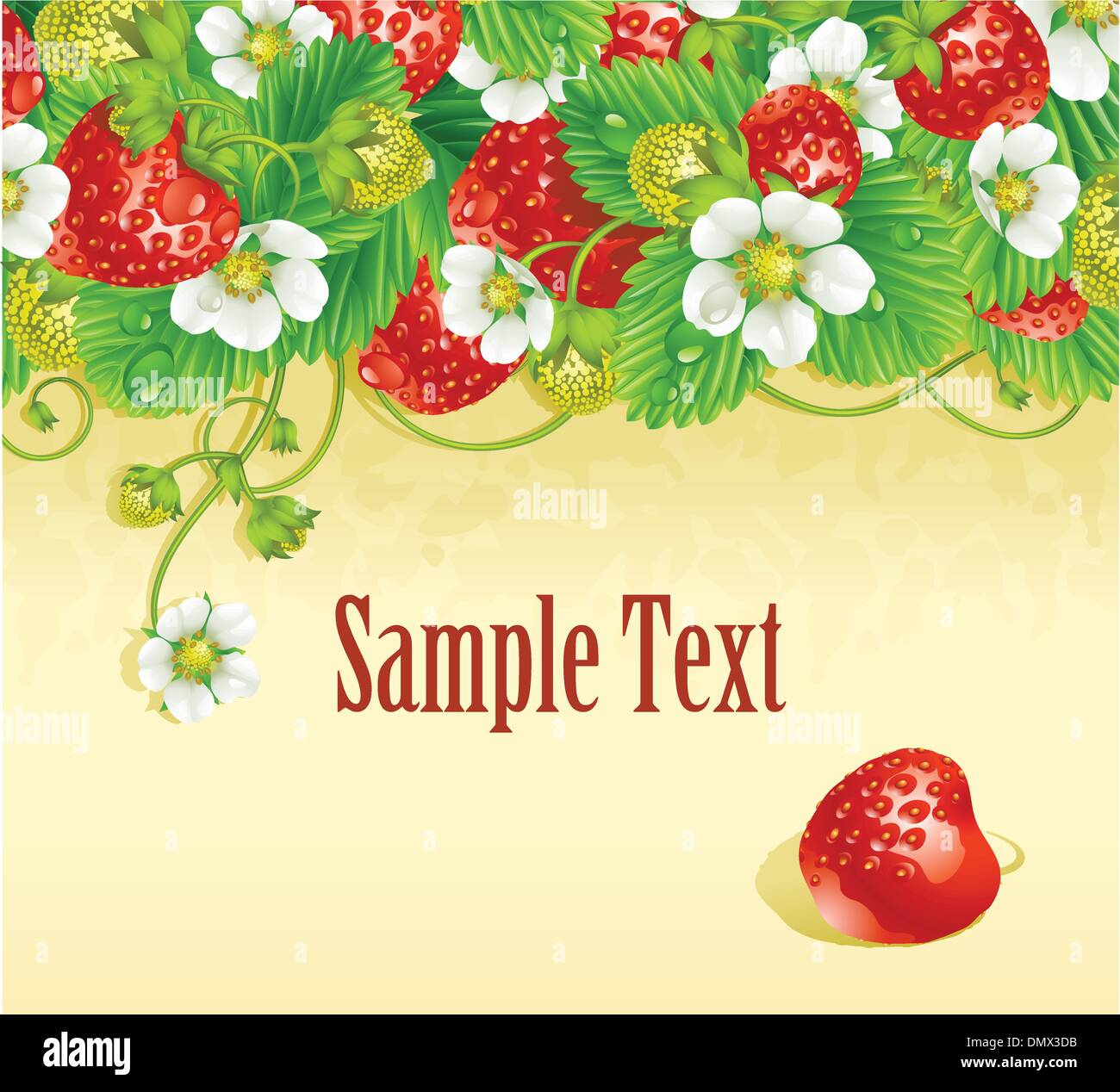 strawberry frame. Red berry and white flower Stock Vector Image & Art ...