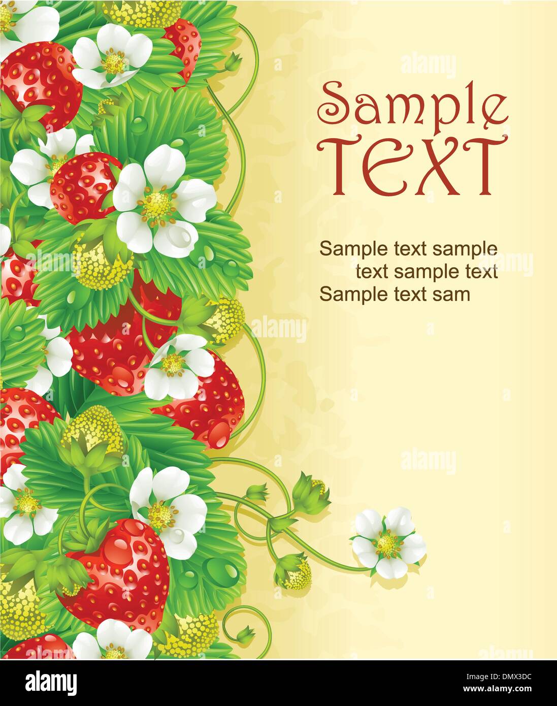 strawberry frame. Red berry and white flower Stock Vector Image & Art ...