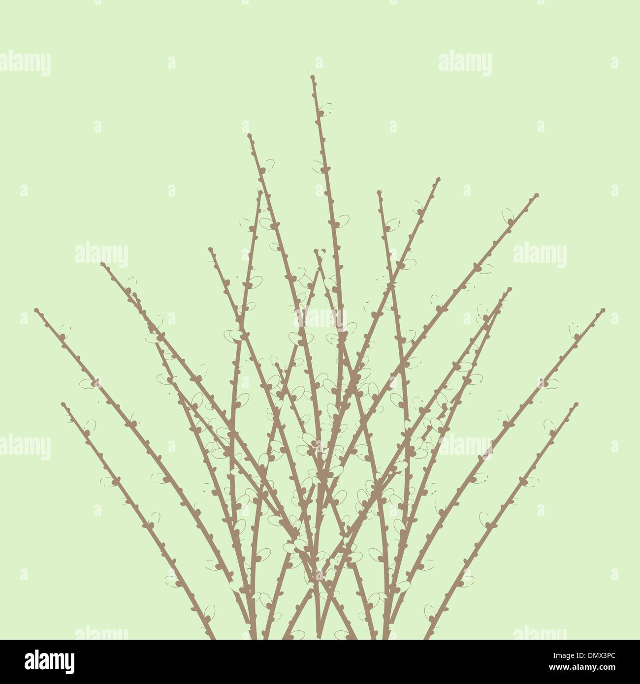 Willow tree vector vectors hi-res stock photography and images - Alamy