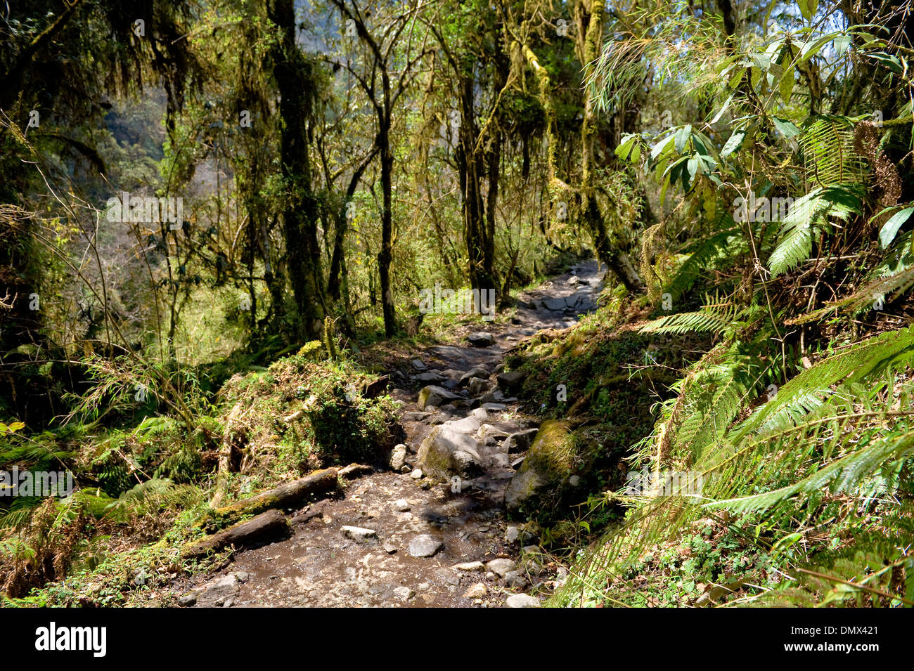 Modi khola valley hi-res stock photography and images - Alamy