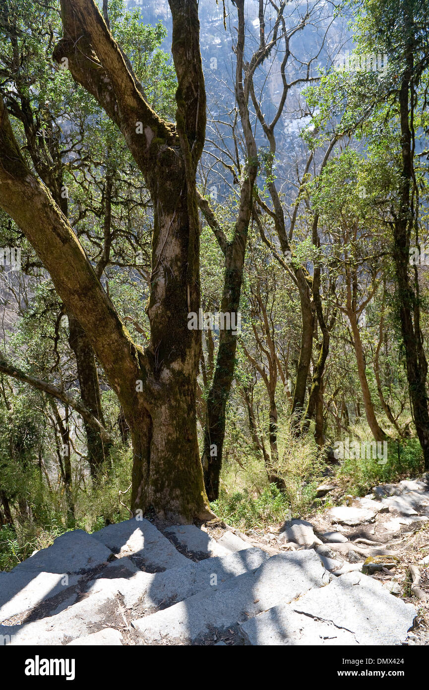 Modi khola valley hi-res stock photography and images - Alamy