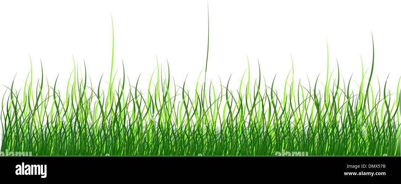 Green grass vector vectors Stock Vector Images - Alamy
