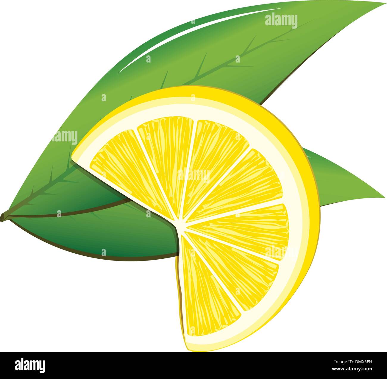 Lemon and leaves Stock Vector Image & Art - Alamy