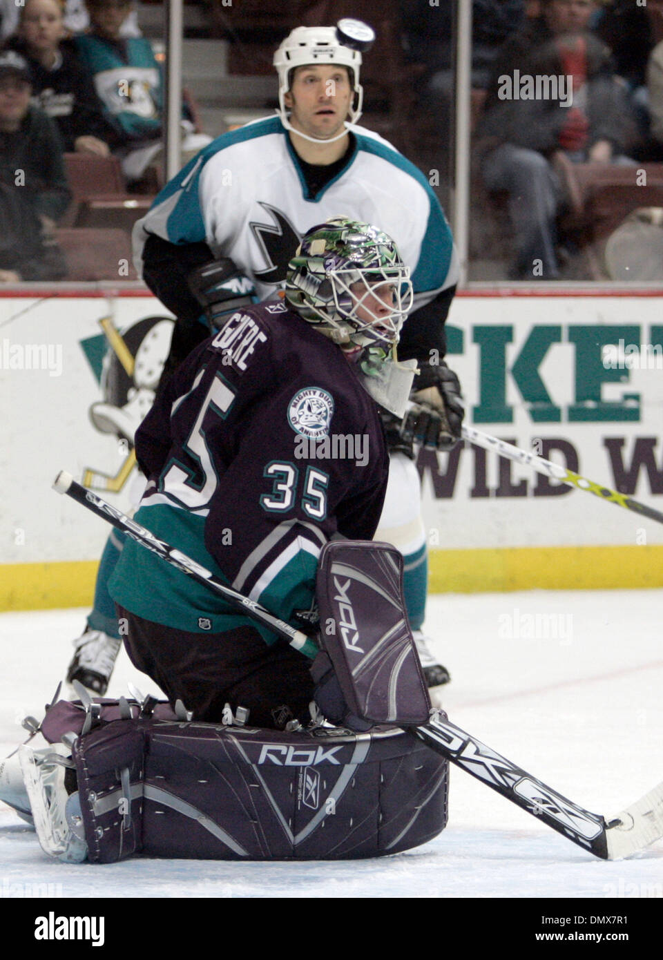 Mighty Ducks Goalie