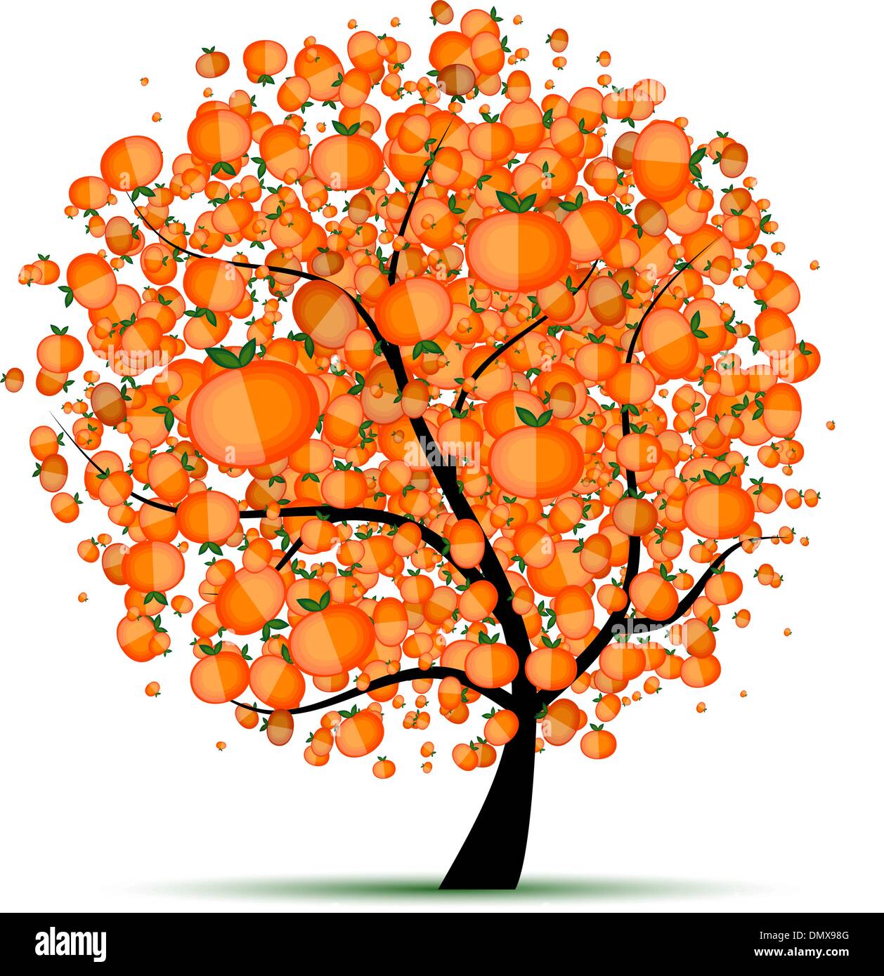 Orange tree citrus Stock Vector Images - Alamy