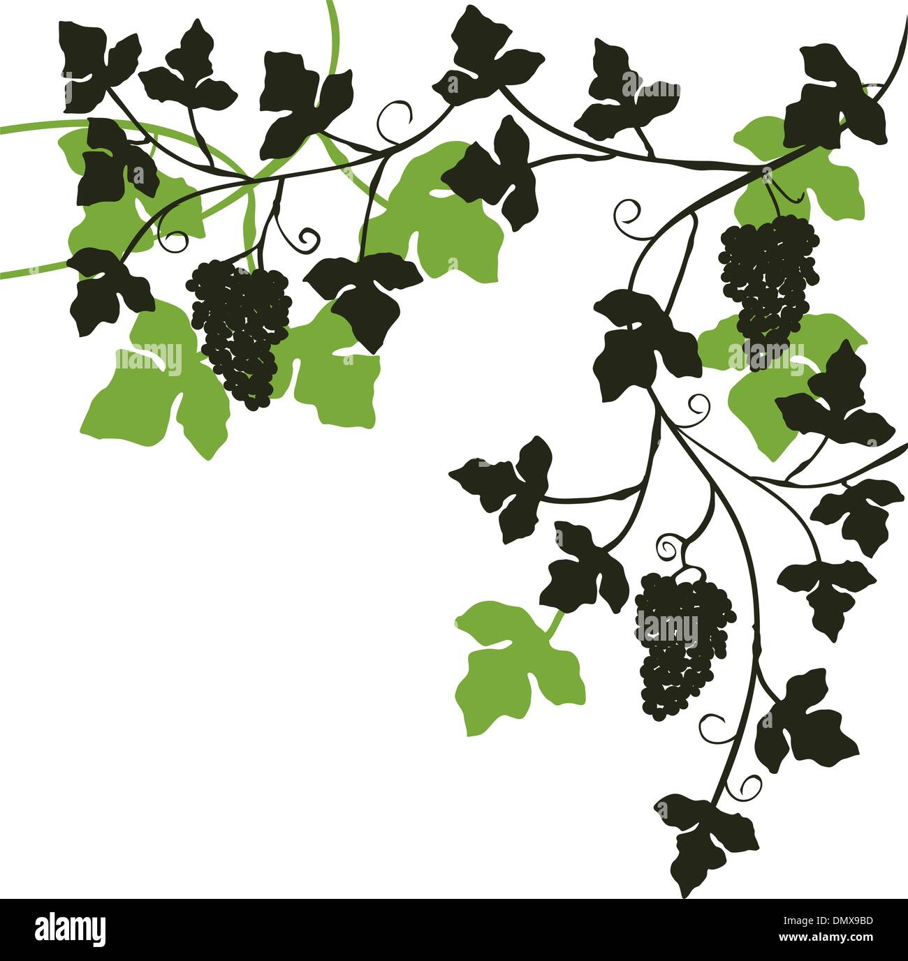 Grapes tree Stock Vector Images - Alamy