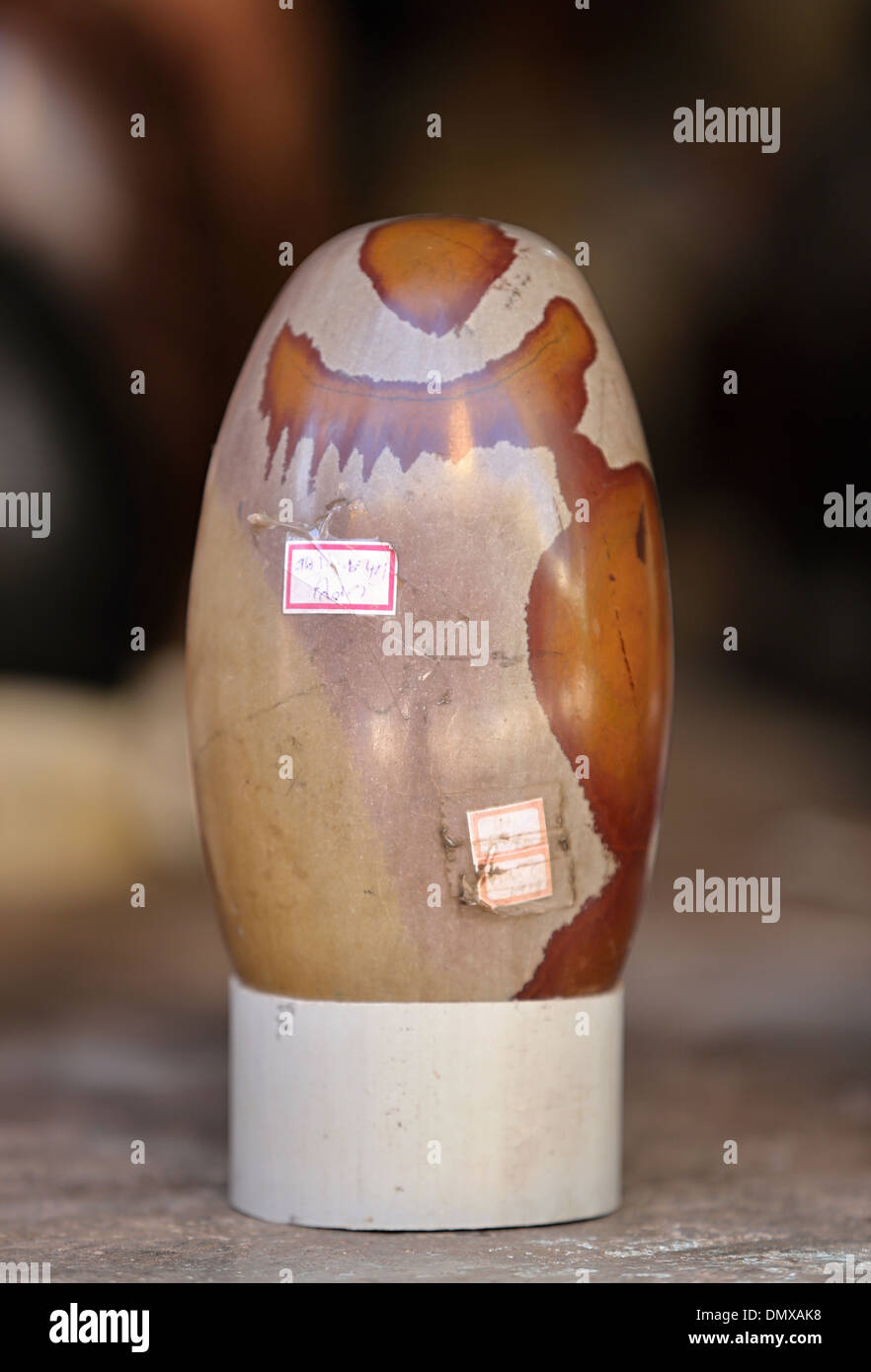 Bana lingam from the Narmada River in Omkareshwar Madhya Pradesh India ...