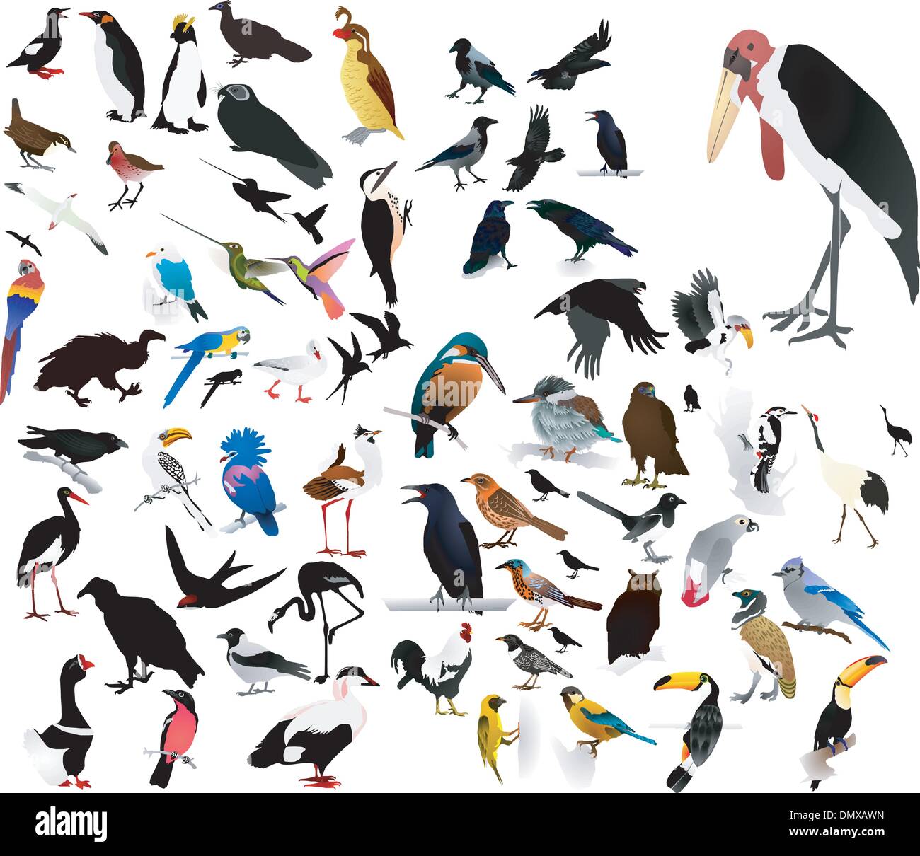 collection of vector images of birds Stock Vector Image & Art - Alamy
