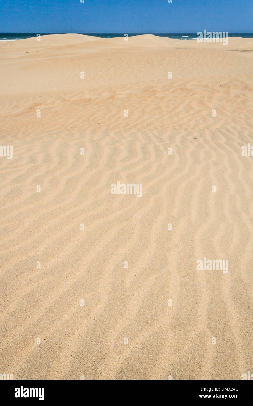 Madagascar desert in south hi-res stock photography and images - Alamy
