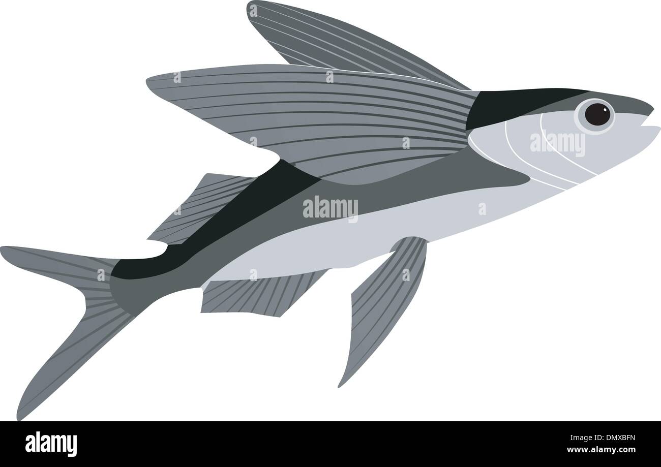 Flying fish food Stock Vector Images - Alamy