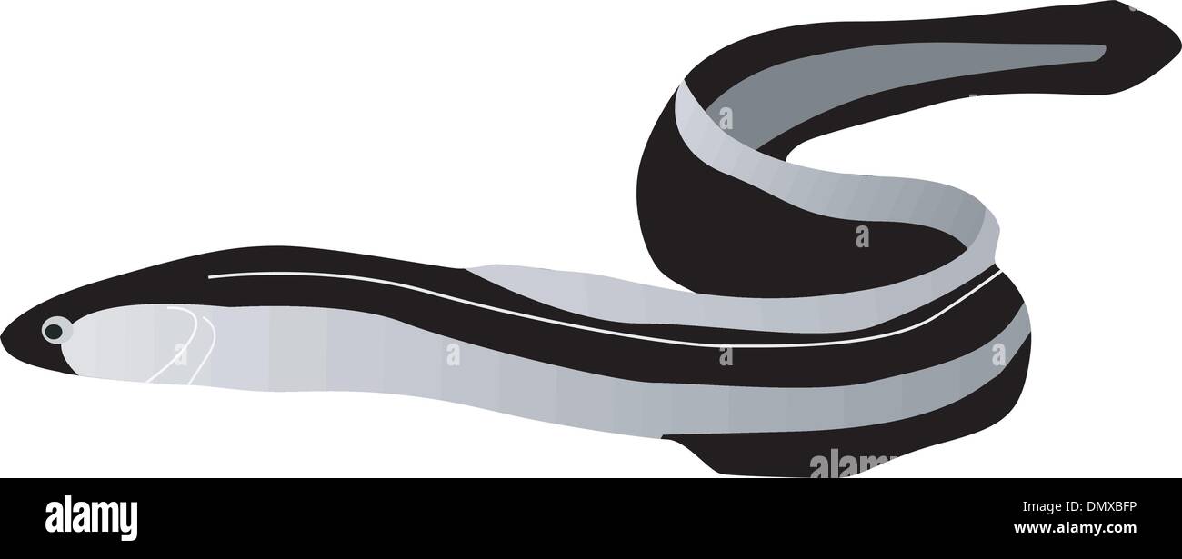 Zit vector vectors hi-res stock photography and images - Alamy