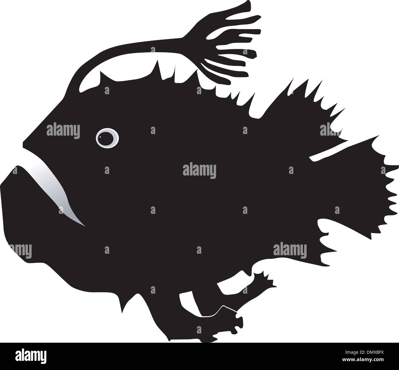 Oarfish hi-res stock photography and images - Alamy