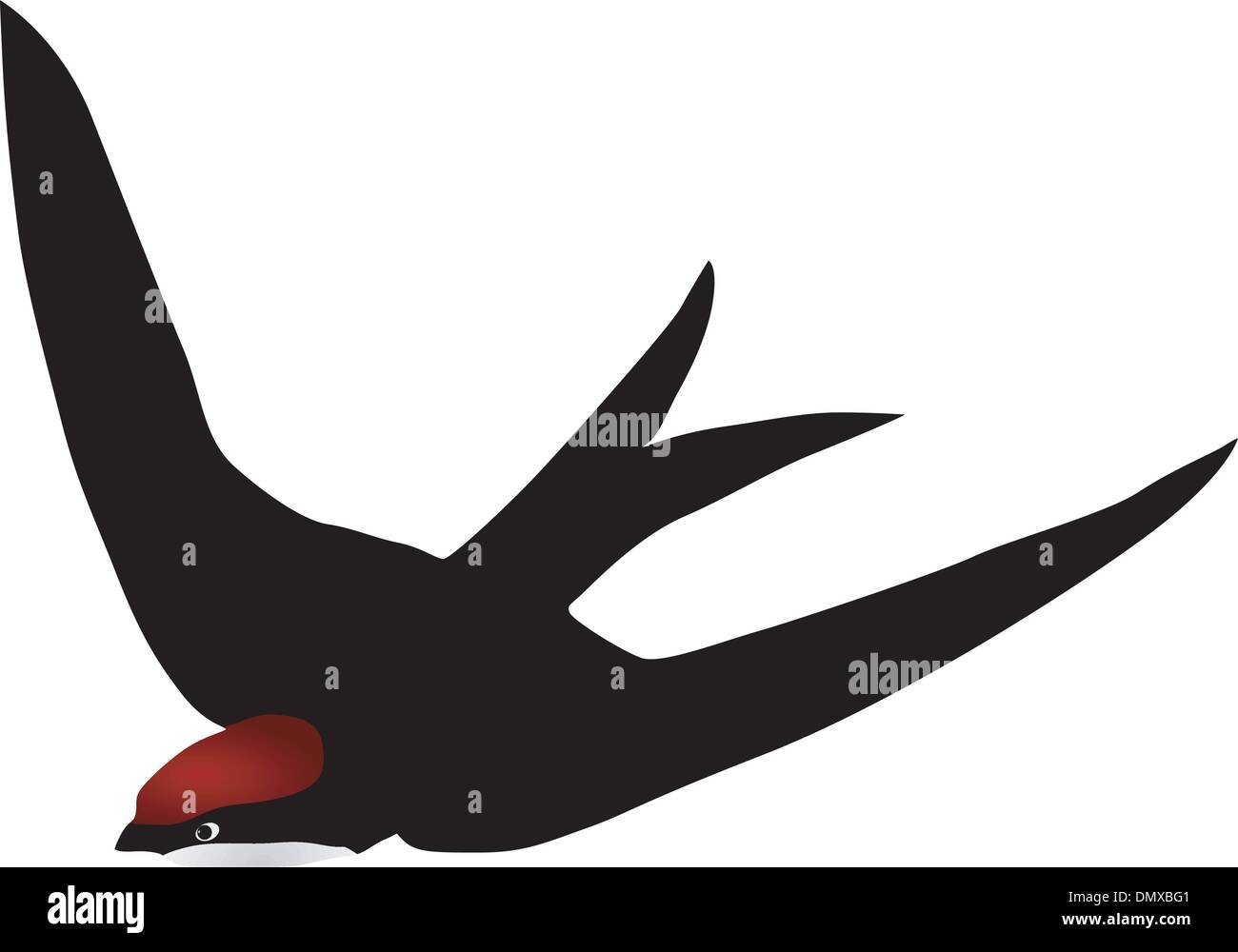 Swift image Stock Vector Images - Alamy