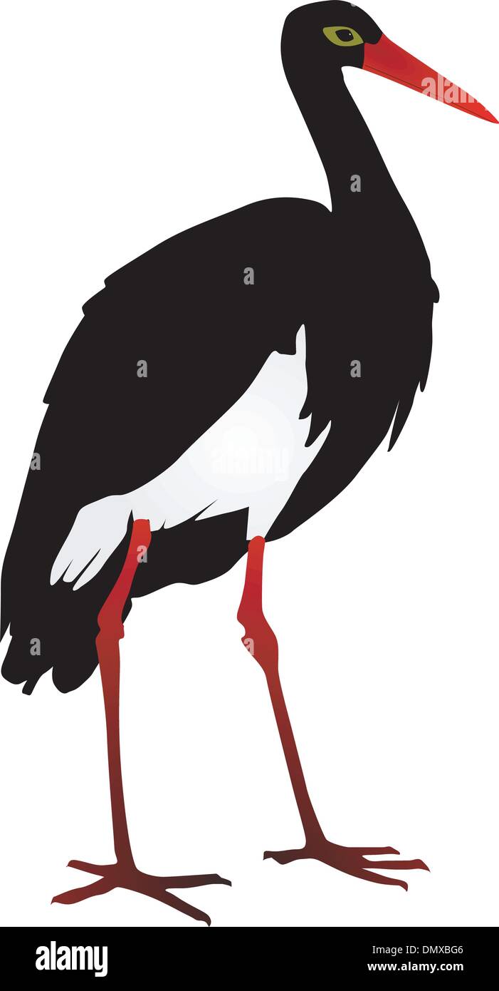 Vector silhouette of a Grus Stock Vector Image & Art - Alamy